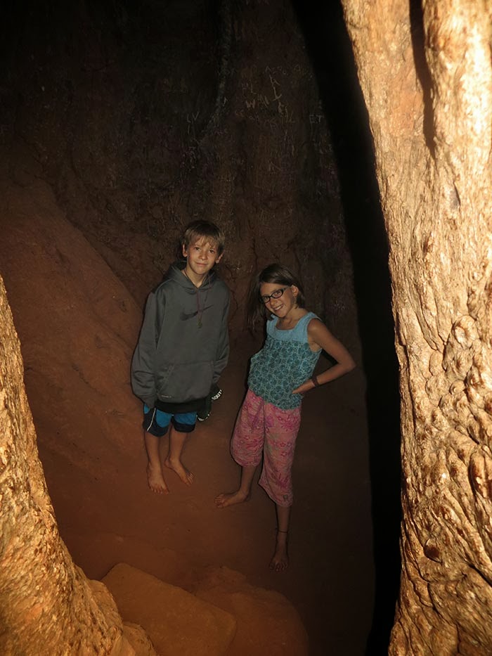 Kaylie's Baboon Adventures: Visiting the Old Baobab Tree