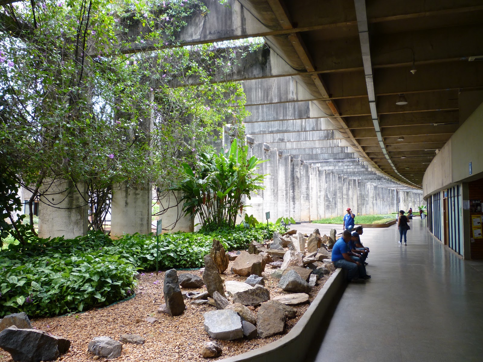 SOUTH AMERICA 2012: Brasilia University