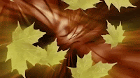 Блог Колибри: Animated falling leaves background gif