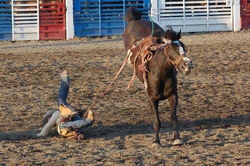 Side Trips: 7/3/11 - 7/10/11