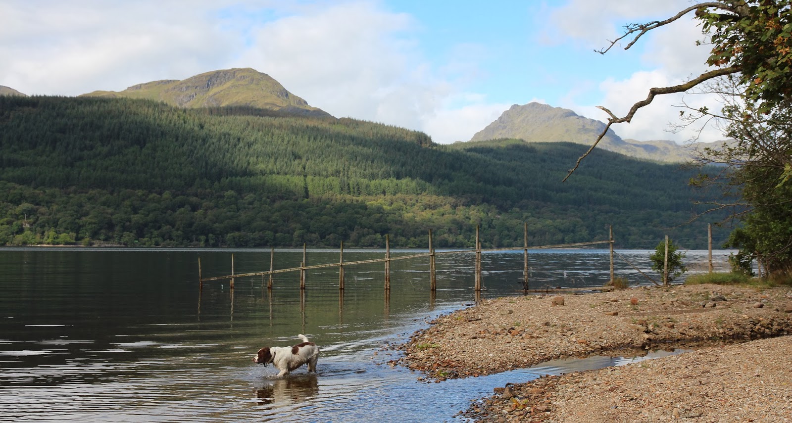 Neil's Hillwalking Exploits: Cruinn a'Bheinn