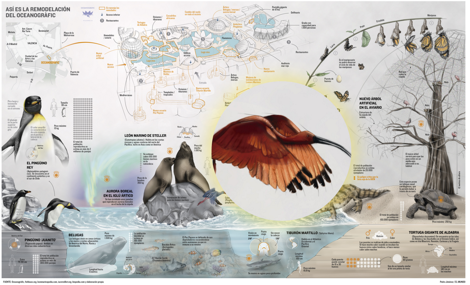 Infografia periodistica y diseño gráfico: Así es son las nuevas ...