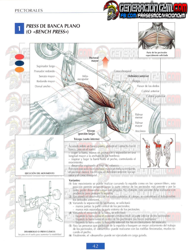 PECHO - GENERACIÓN GYM