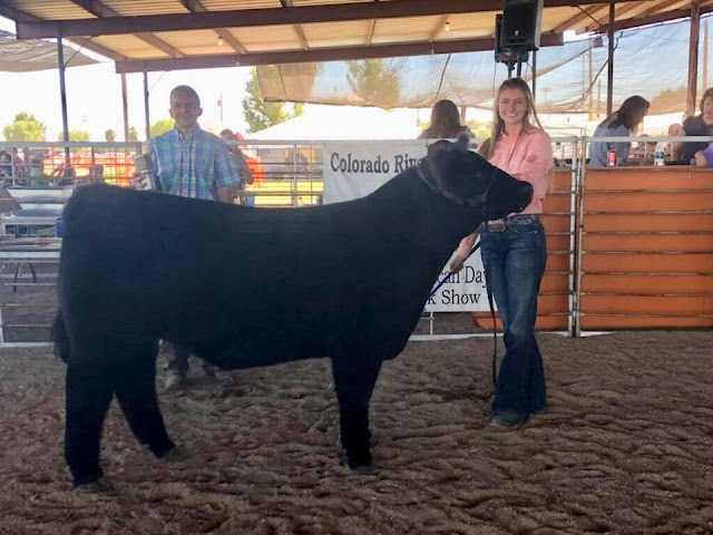 RCC Blog: Fu Man Chu & MAB Sired Champions!