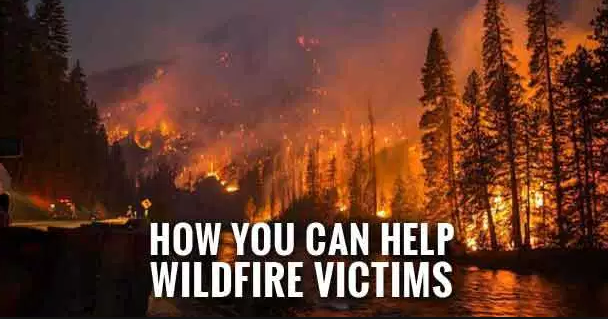 Media Confidential: Taylor Swift, Kenny Chesney, Among Stars Donating ...