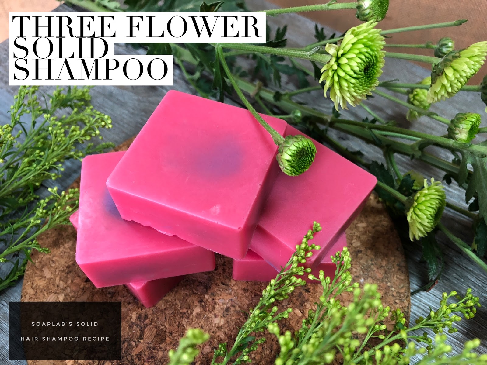 SoapLab Malaysia: DIY Solid Shampoo & Save The Planet (Join The No ...