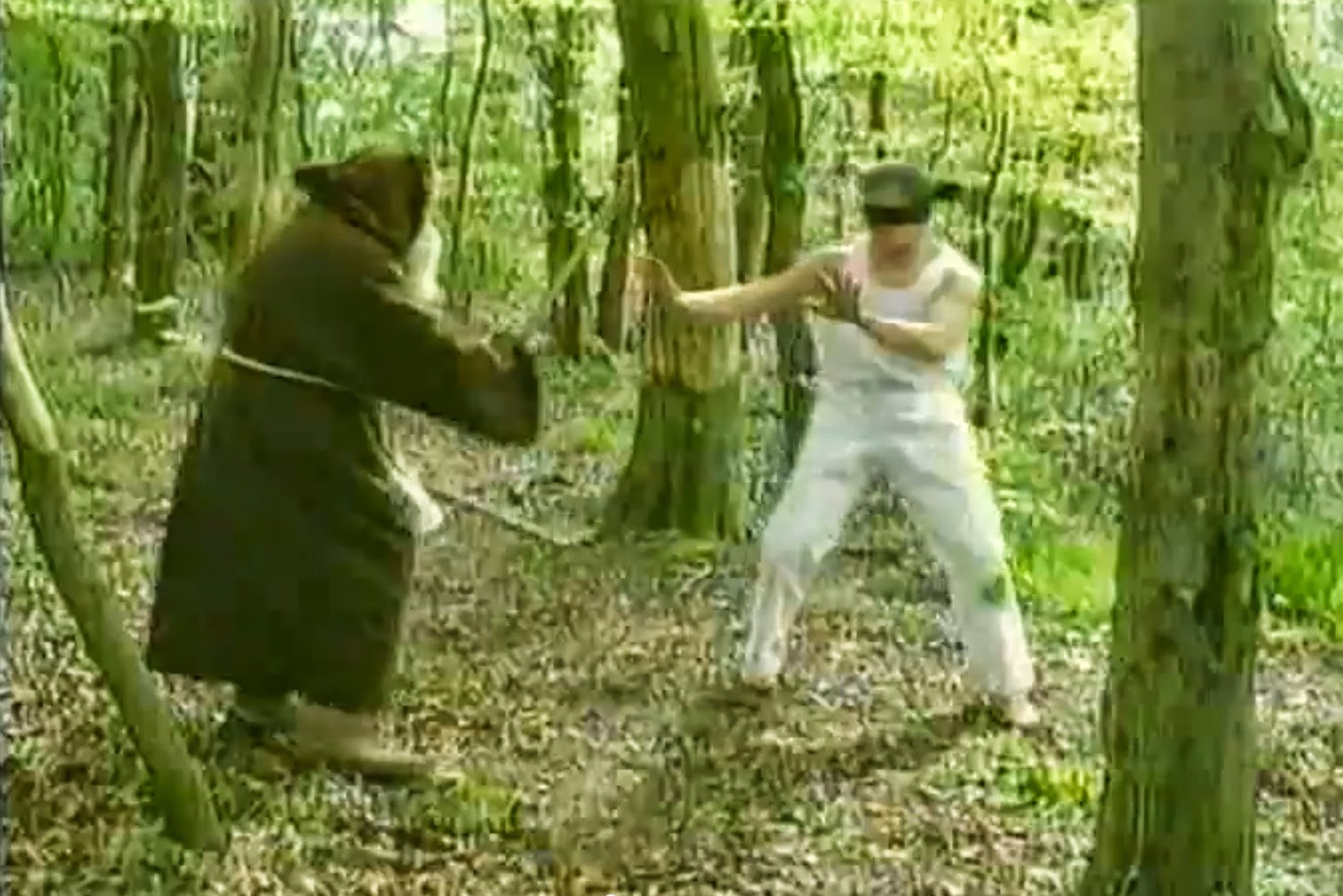 Down Among the "Z" Movies: Fatal Deviation (1998)