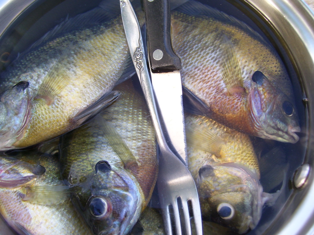 Learning To Live Free: How To Clean, Cook And Eat Bream/ Sunfish ...