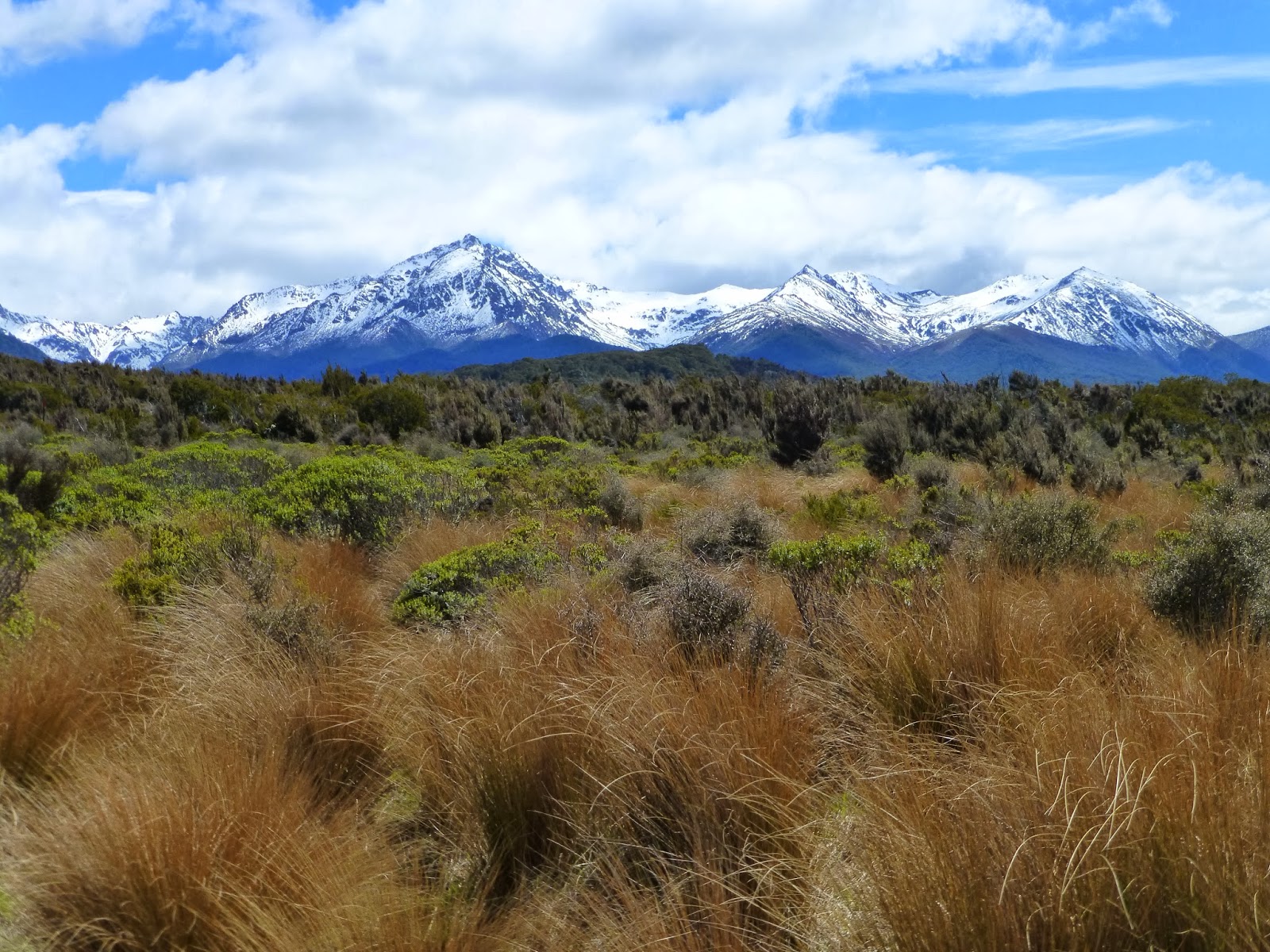 Another Day in New Zealand: Aparima Hike