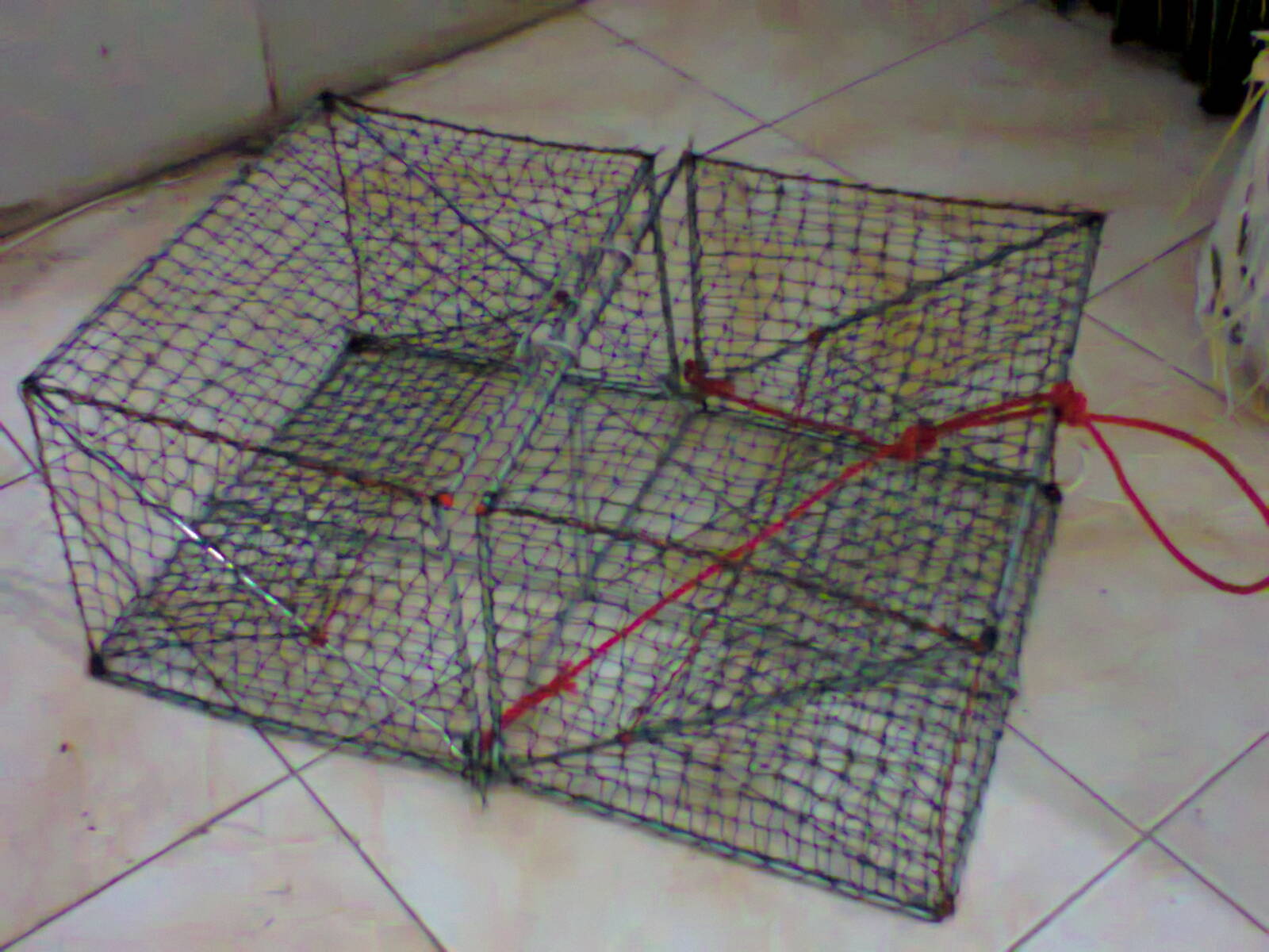 Peralatan Menangkap Ikan Di Negara Brunei Darussalam: Bintur