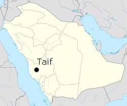 History Parchments: Siege of Taif (630 AD)