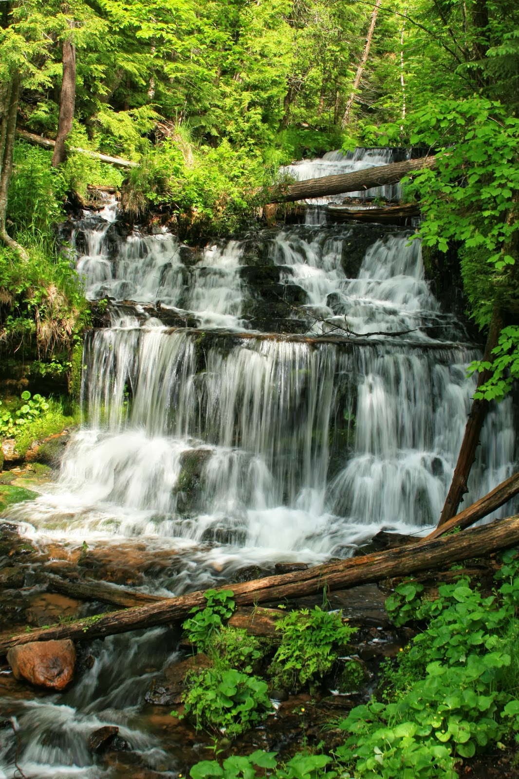 Isabella Conservation District Environmental Education Program: Waterfalls