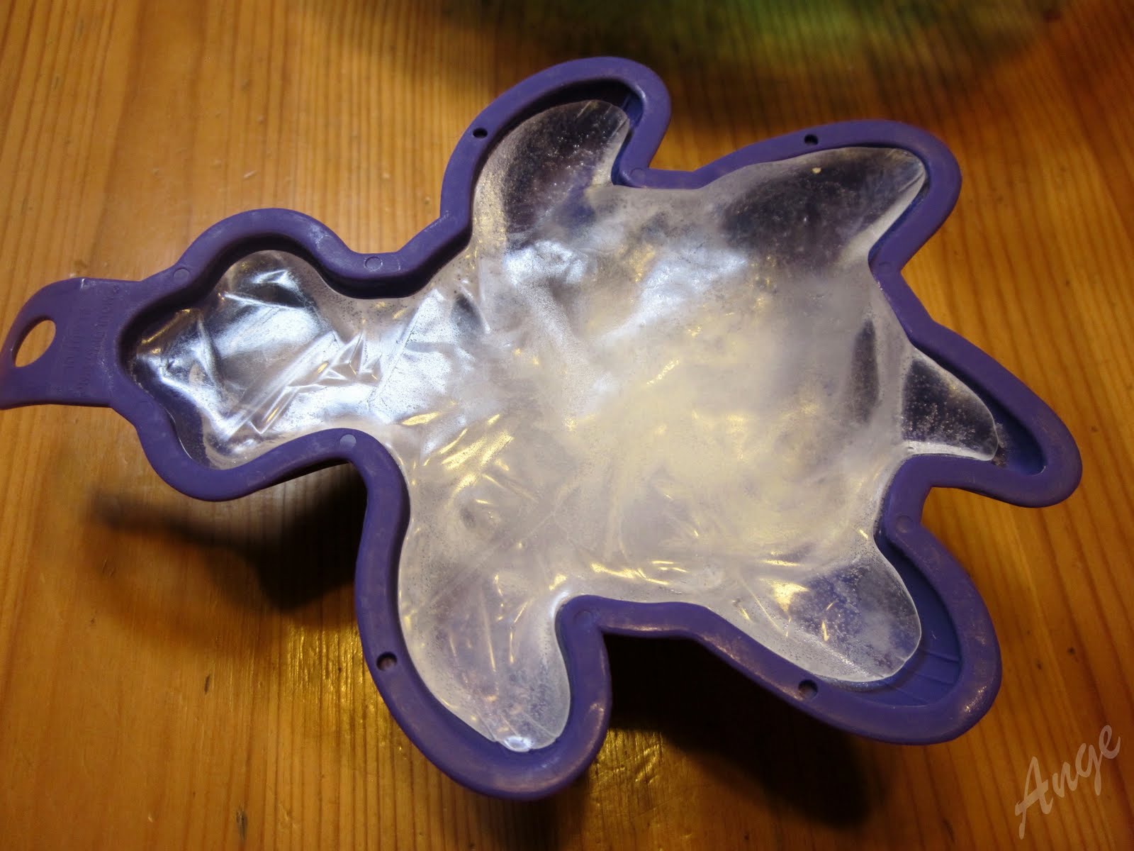 ~The Daily Turtle~: #89 Another Ice Turtle