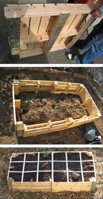 Build a raised bed garden using pallets