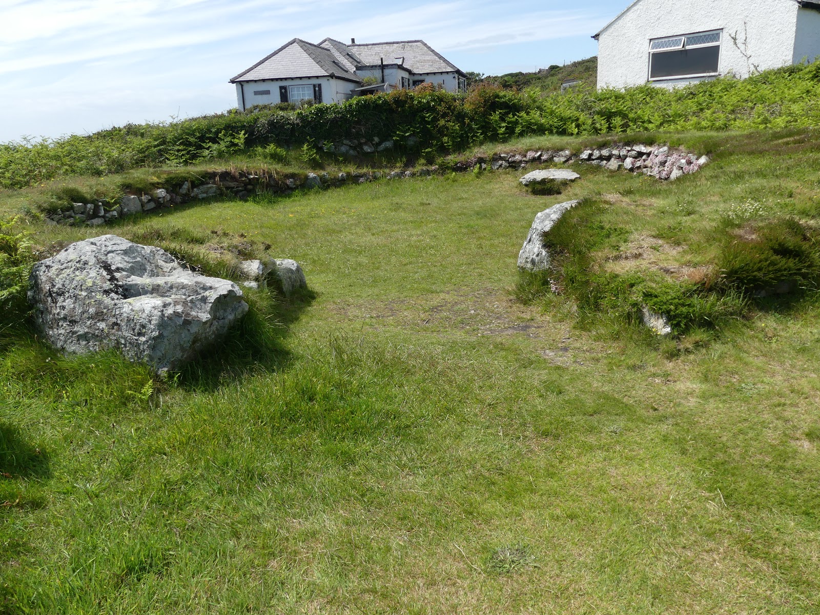 Ragged Robin's Nature Notes: Anglesey - Day 3 Monday 17th June - Part 2 ...