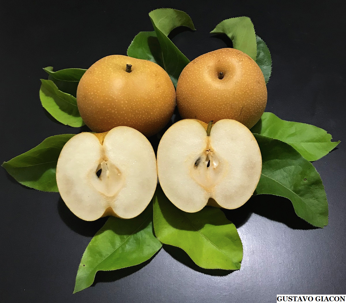 Viveiro Ciprest - Plantas Nativas e Exóticas: Pera Asiática ou Nashi ...