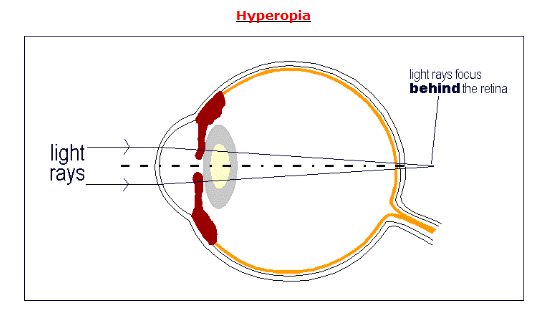 Human Eye Diagram And Anatomy Complete With Images | Safe Health Tips