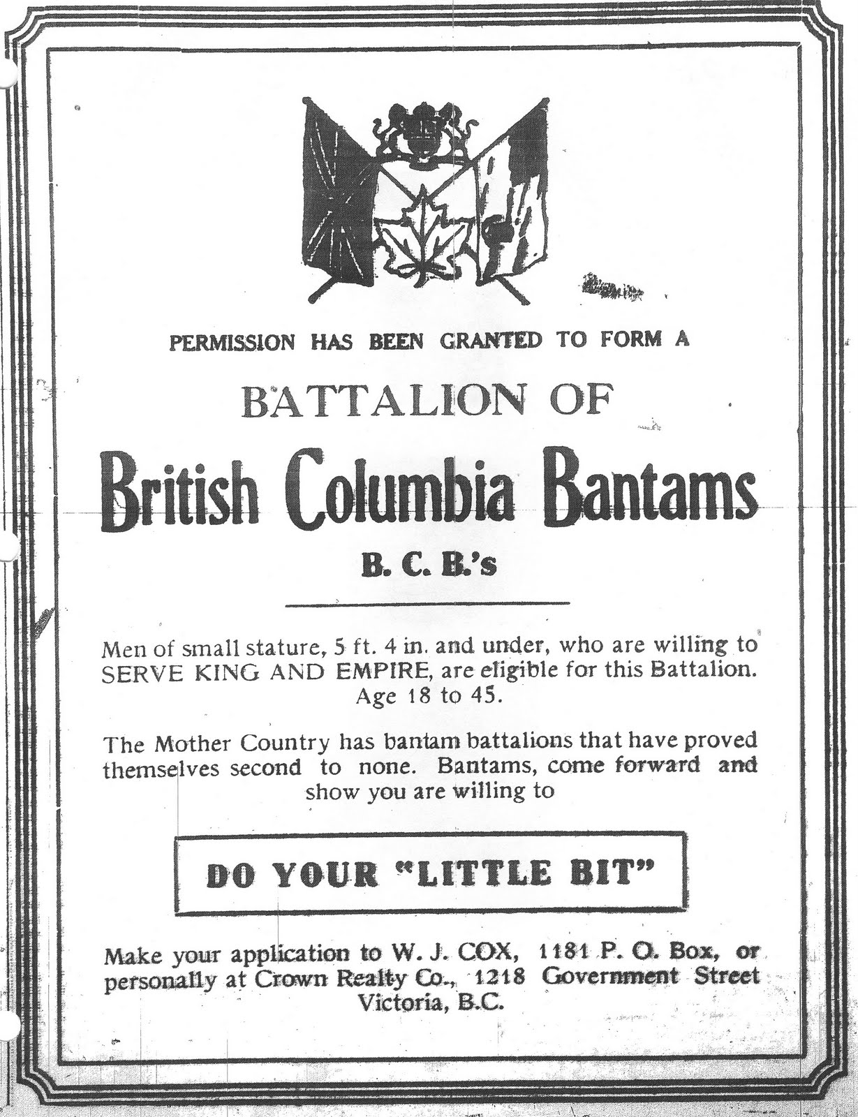 BC Bantams - Introduction