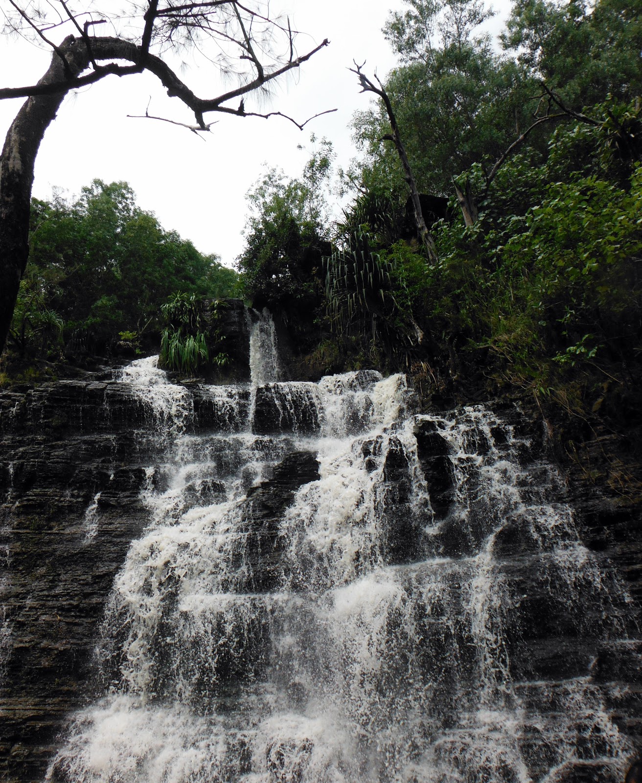 Guamaniacs: Boonie Stomping: Tarzan Falls