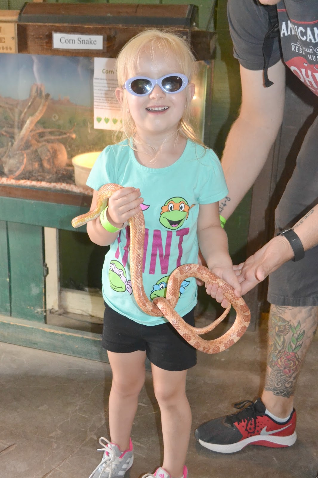 Visiting the Colorado Gator Farm - Building Our Story