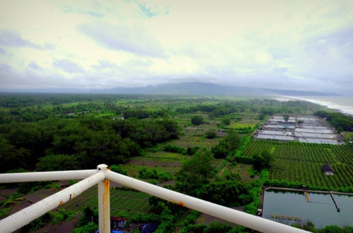 Pantai Pandansari - Pantai Di Jogja Dengan Mercusuar Tinggi « Wisata Pantai