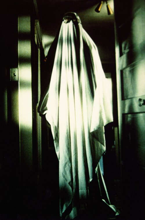 under the small umbrella: Halloween - Back in Cinemas this Halloween