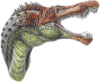 Species New to Science: [Paleontology • 1986] Baryonyx walkeri • a ...