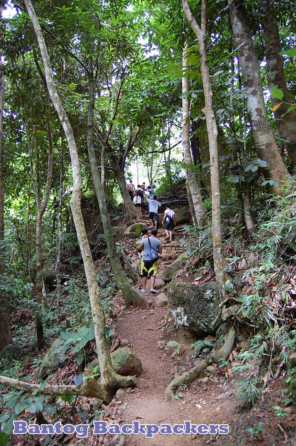 Dingalan, Aurora : Tanawan Viewdeck and Tanawan Falls | Bantog Backpackers