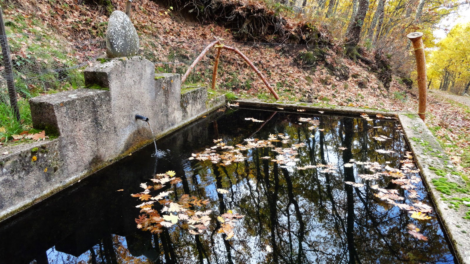 EL BICIERRANTE: NACIMIENTO DEL ADAJA Y VALLE DEL CORNEJA