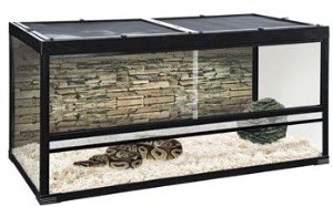 snake cages for sale top cages