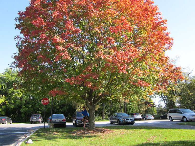 Live and Learn-Toss and Turn: 10/01/2012 - 11/01/2012