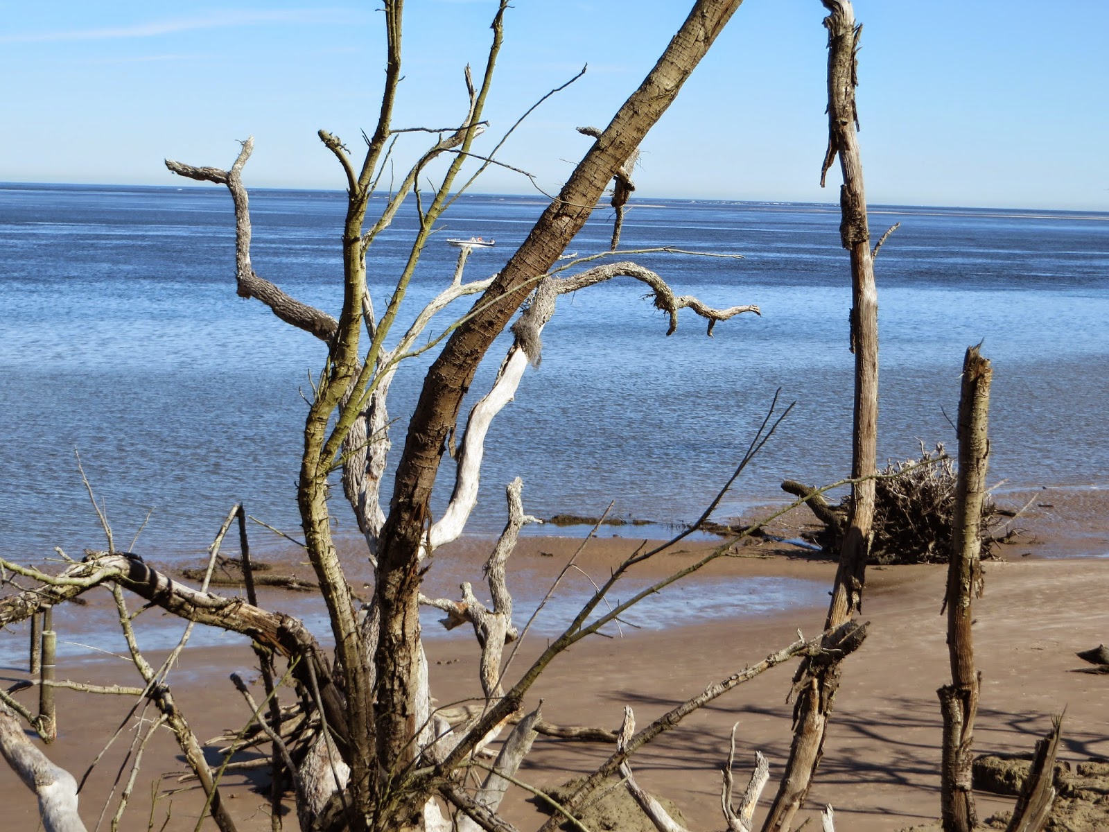 Nature Is Real: Big Talbot Island State Park