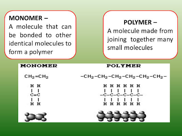 Grade 11: Chapter 3 - BIOLOGICAL MOLECULES