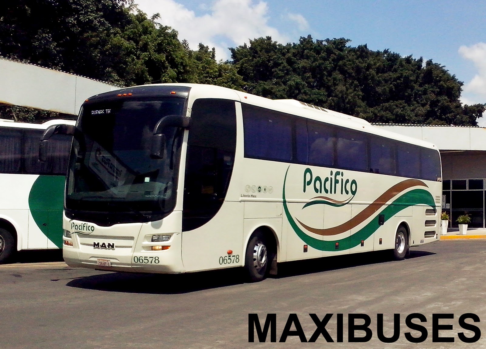 MAXIBUSES: TRANSPORTES DEL PACÍFICO
