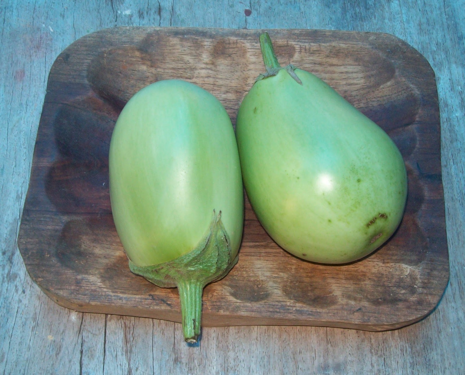 Fiodourado2: Jiló Gigante