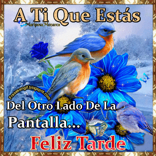Frases En Gif: Feliz Tarde