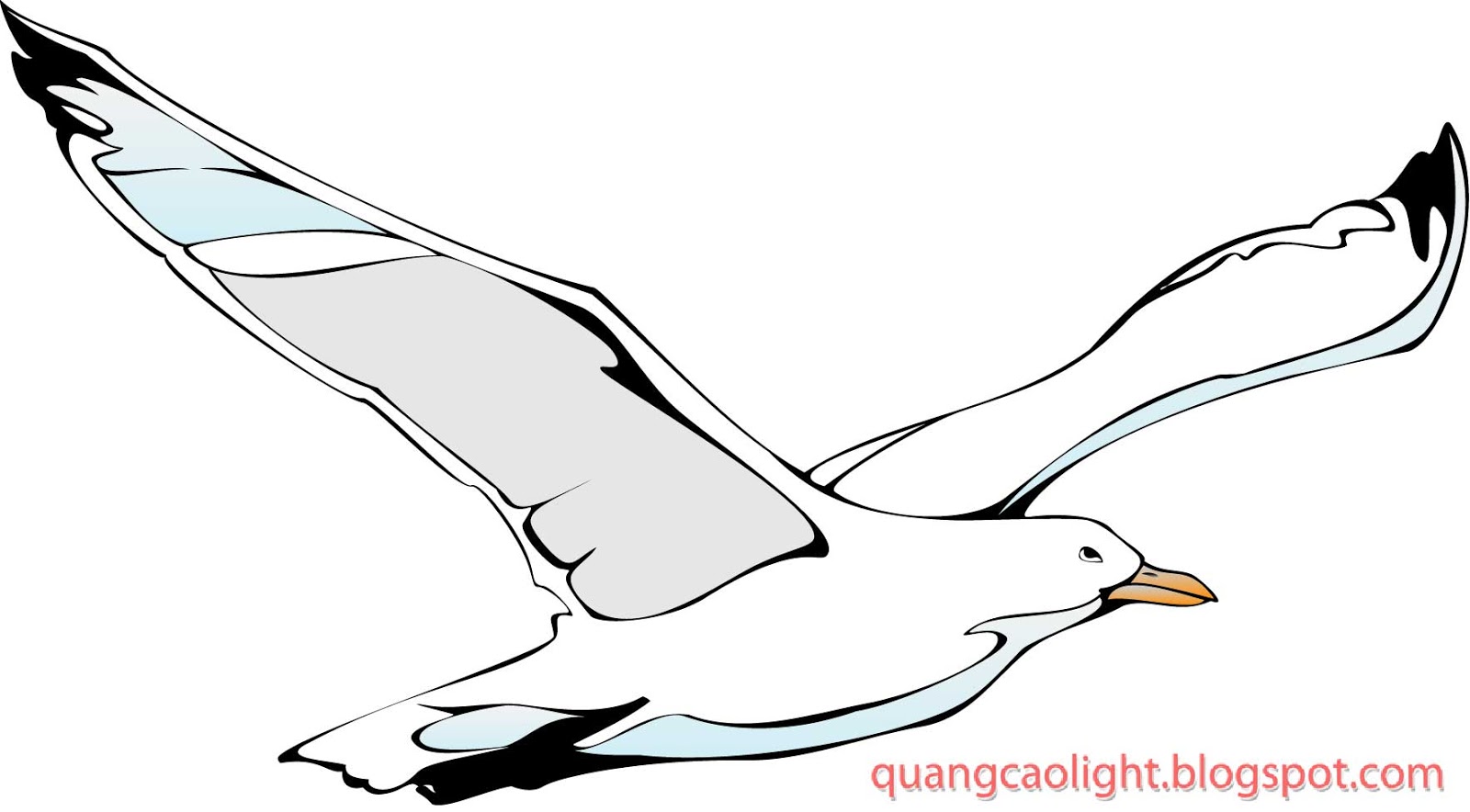 Các loài Chim file Vector (Phần 3) - công ty in ấn