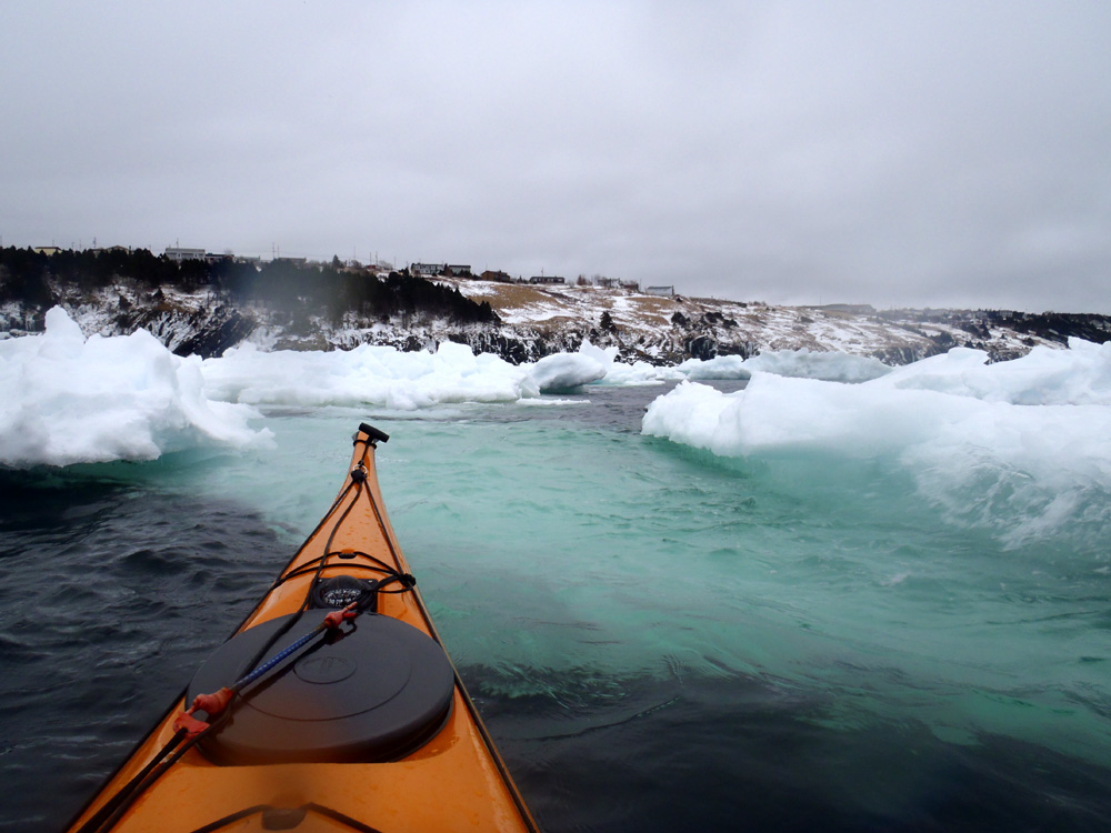 My Newfoundland Kayak Experience: Pack ice paddle