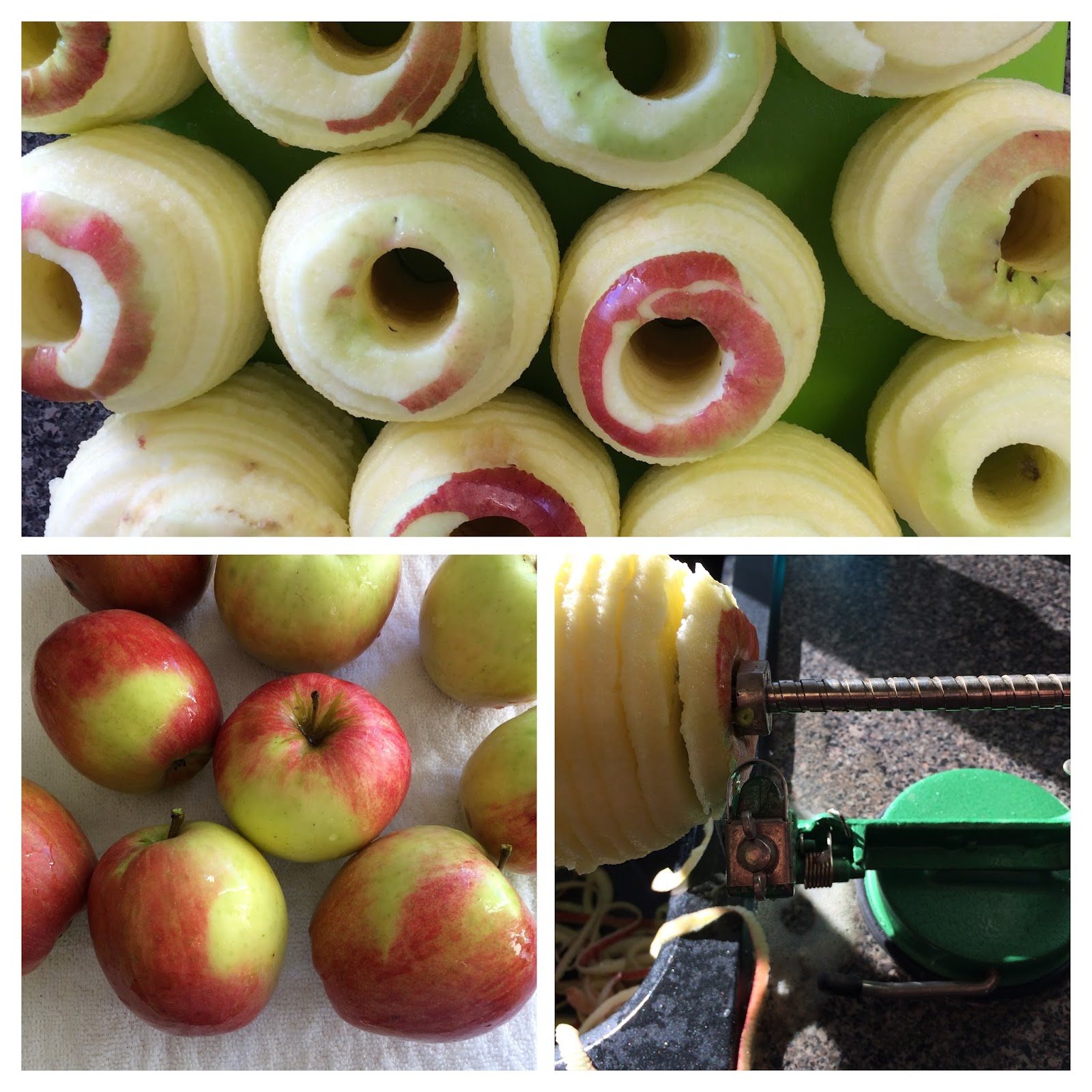 Mennonite Girls Can Cook Apple Pie With Cooked Filling mennonite-girls-can-cook-apple-pie-with-cooked-filling