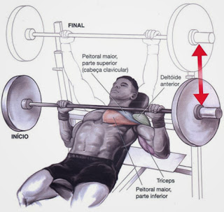 Dicas de Treino: Supino inclinado