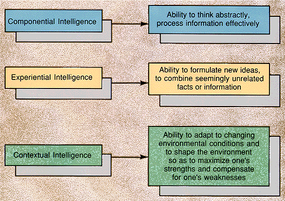 Savive's Corner: Human Intelligence Models