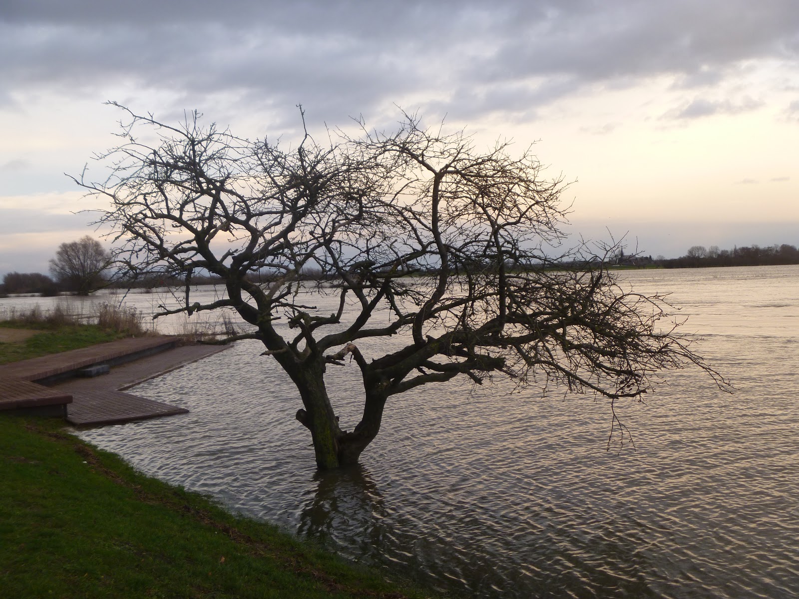 Bomenstichting Achterhoek: december 2012