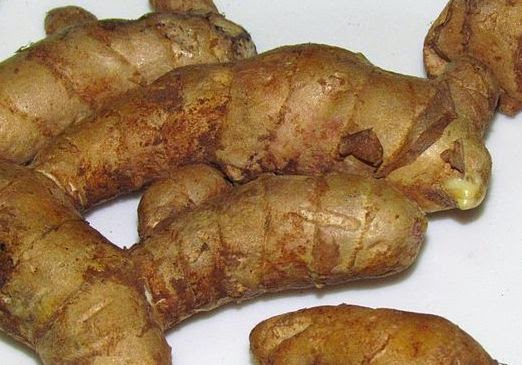 Manfaat dan Khasiat Temu Mangga Bagi Kesehatan - Tips Kesehatan dan ...