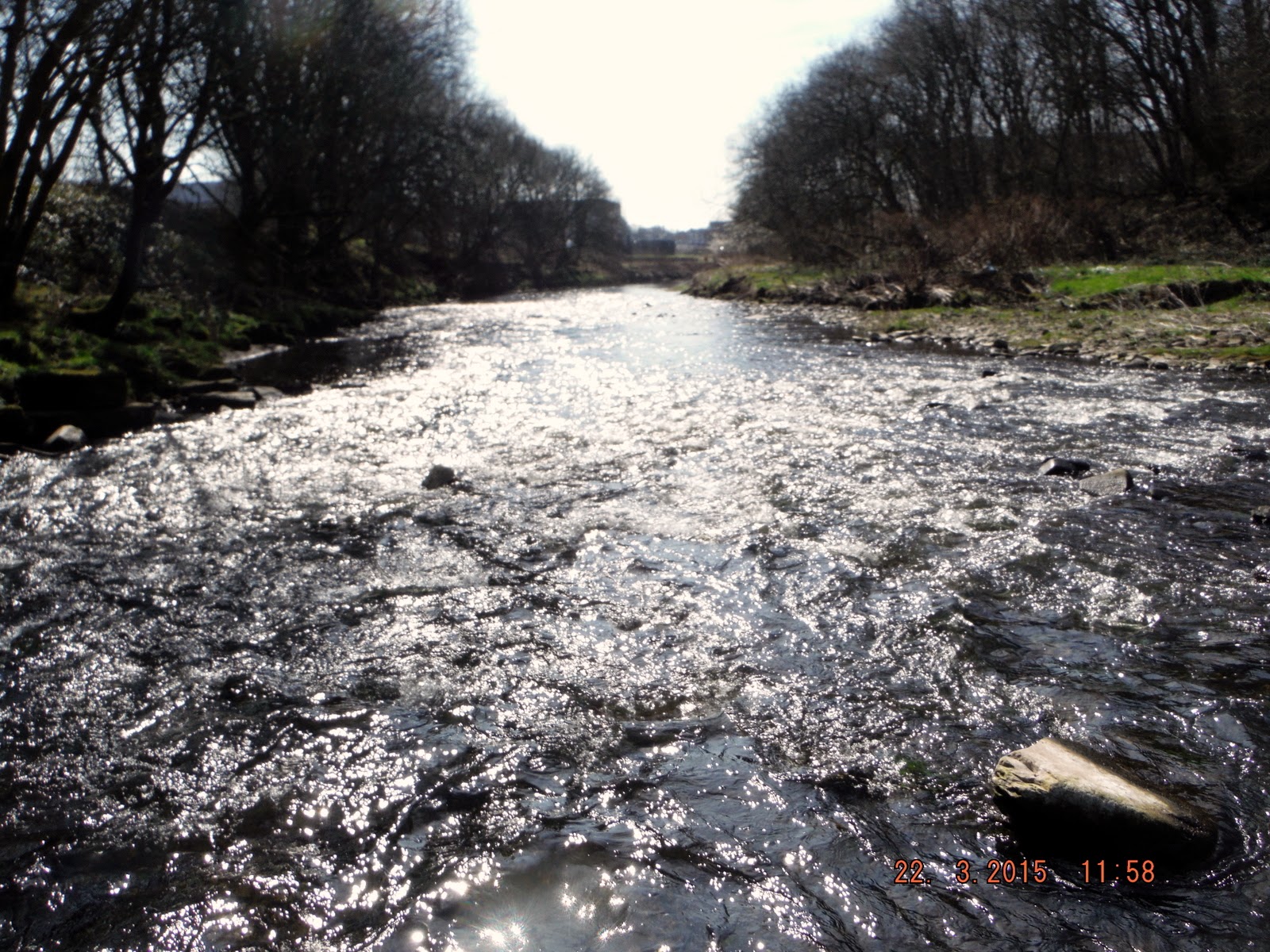Flyfishing the River Irwell and other Streams.: Irwell Bury Ground 22 ...