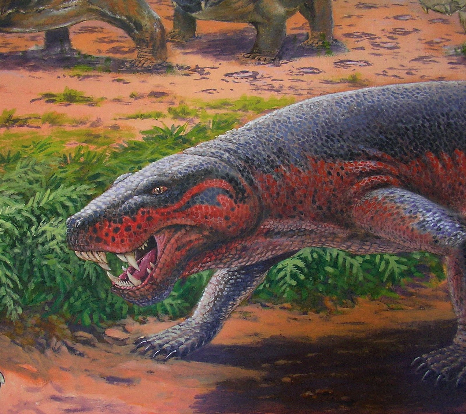 Gerhard Marx: Biography