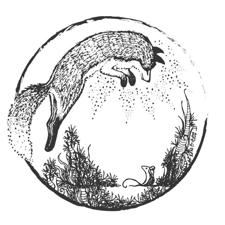 The Bookish Outsider: Foxcraft: The Elders - Inbali Iserles