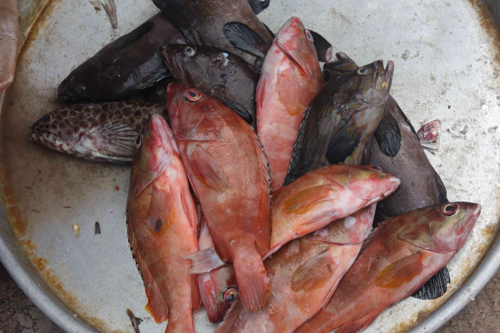 The World Tastes Good: Short Getaway to Phu Quoc Island