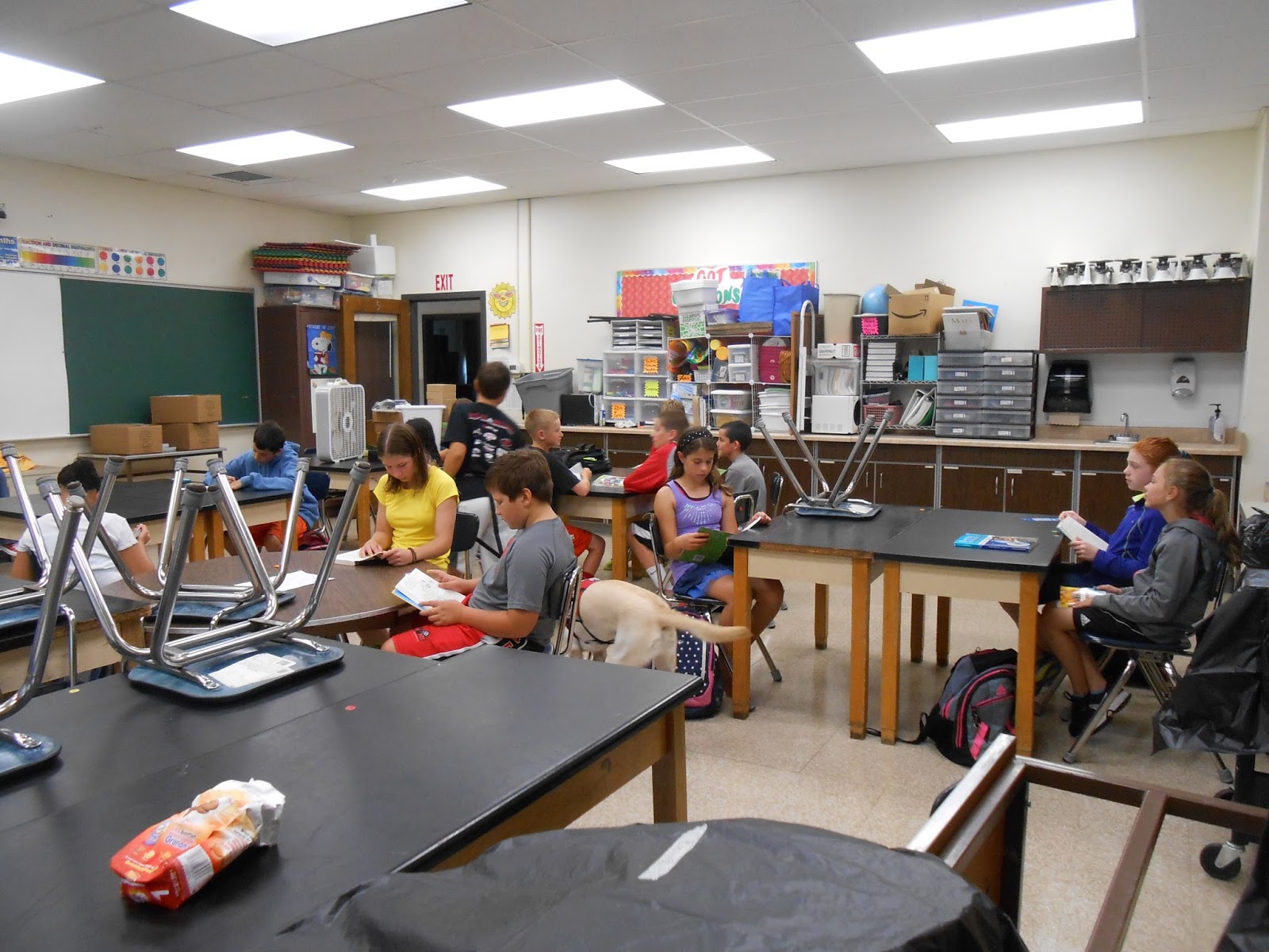 Raising Bo: A Classroom of Distractions