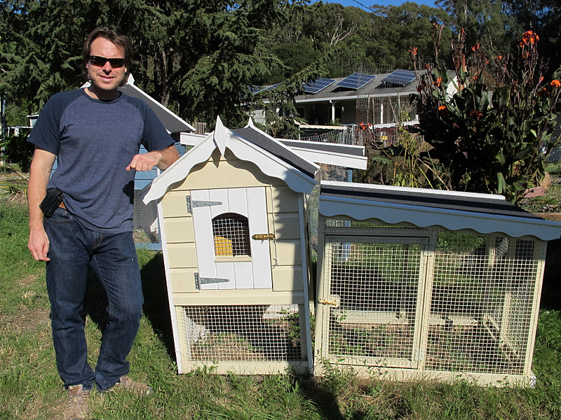 Urban Chicken Housing - Holland Hen Houses - Munchie Musings