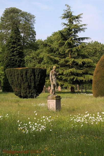 Redgannet: Maidstone Cemetery, Maidstone, Kent, June 2013